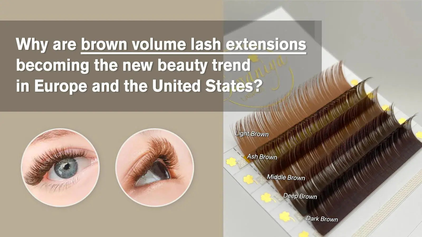 Why are brown volume lash extensions becoming the new beauty trend in ...