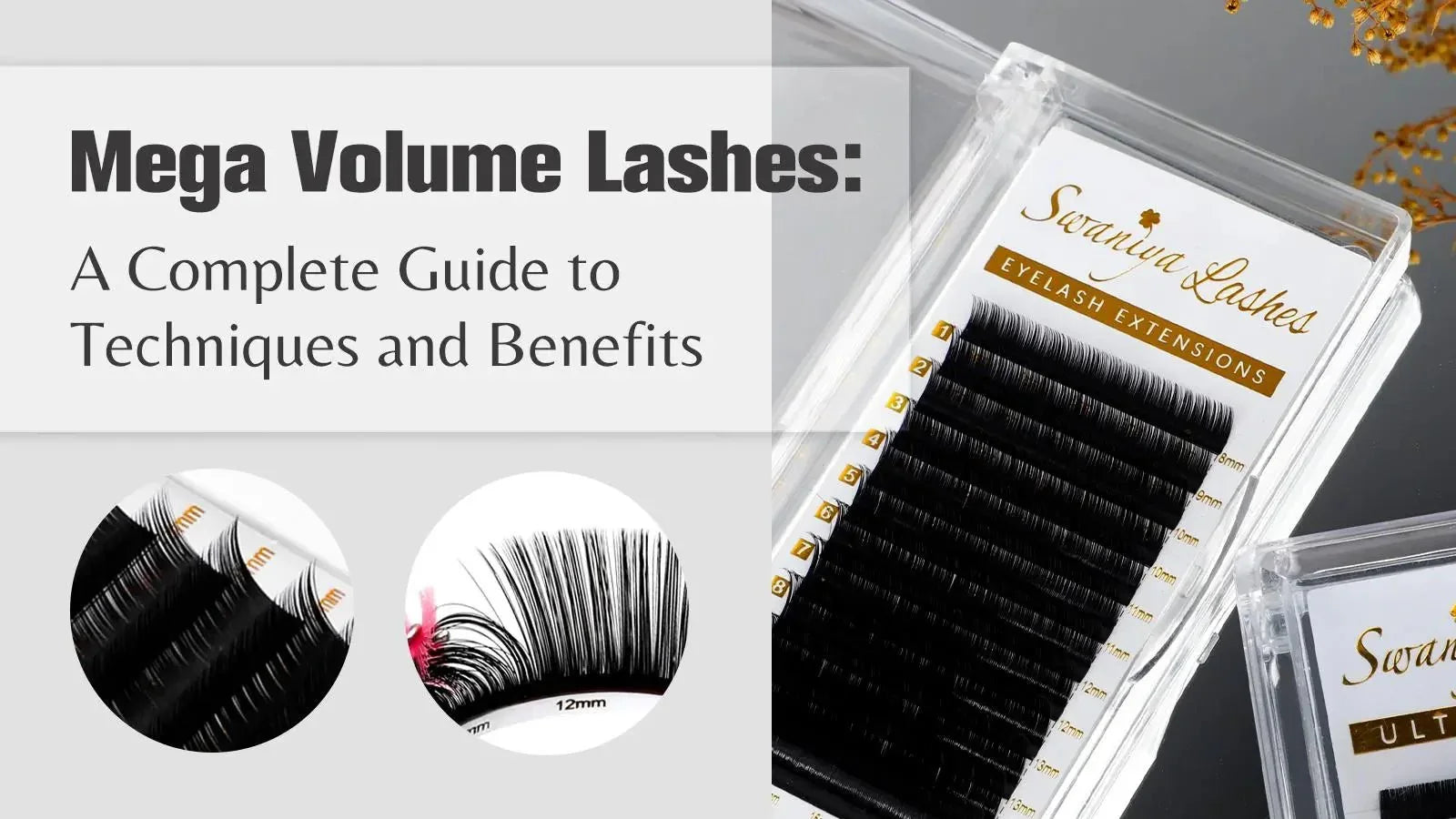 Mega Volume Lashes: A Complete Guide to Techniques and Benefits ...